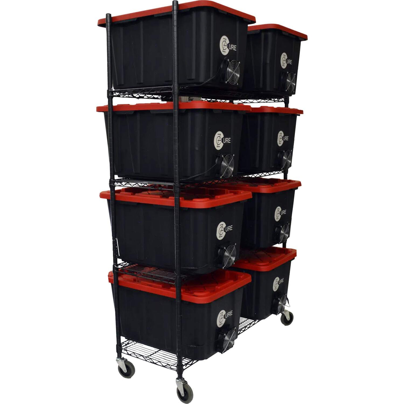 EZTrim EZ Cure Curing System | Automated Precise Curing — Rightbud