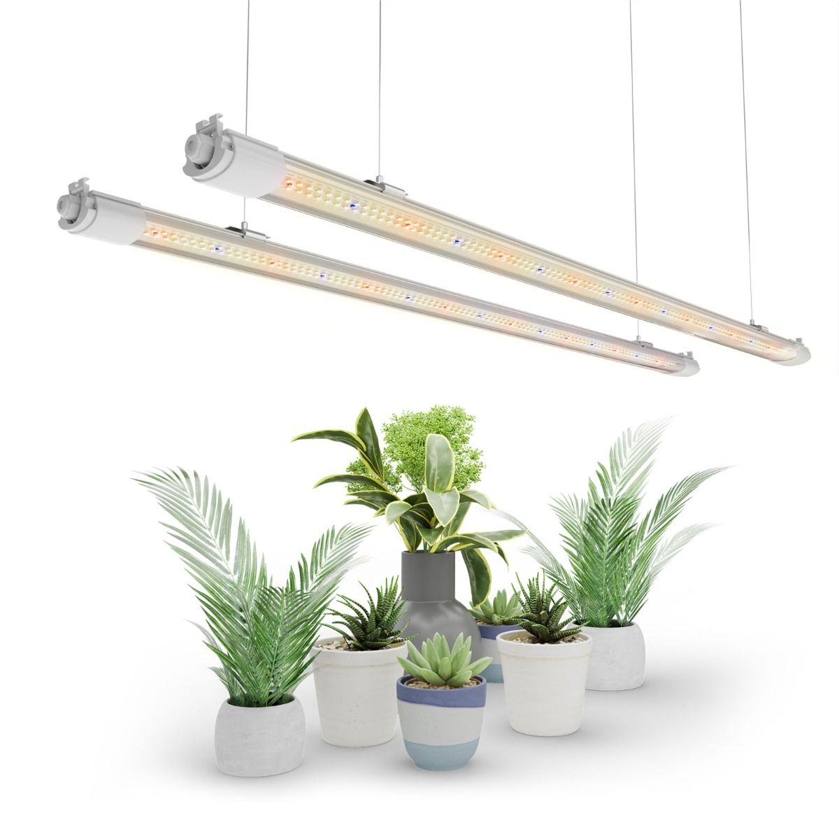 Buy Mars Hydro VG80 LED Grow Light For Seedling, Veg, & Cloning | Rightbud