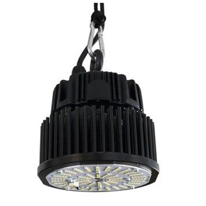 Buy Rapid LED Single 100W Logic LED Grow Light | Lowest Price ...